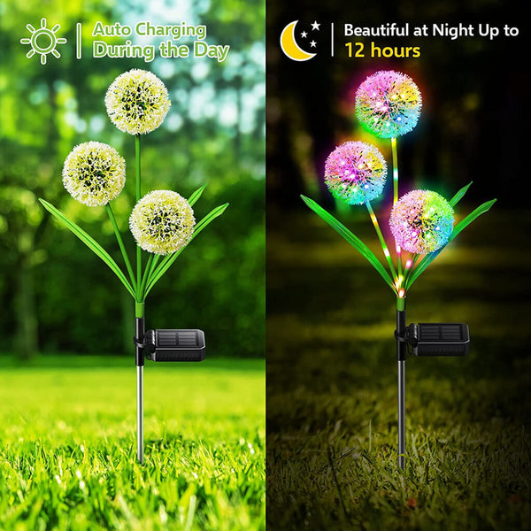 Solar Garden Lights | Solar Pathway Dandelion Lights | Mangata